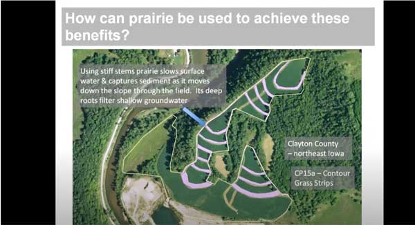 Installing and Maintaining Prairie Strips – Farminar - One Good Idea