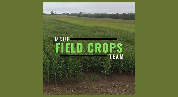 Saving soil: A Farmer's Perspective on Cover Crops - One Good Idea