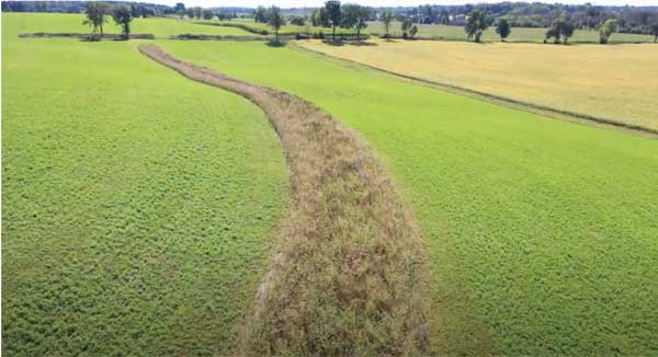 Prairie Strips - Dan Stoffel Farm - One Good Idea