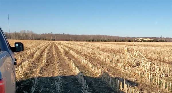 Interseeding Cover Crops: Are We Doing Enough? - One Good Idea