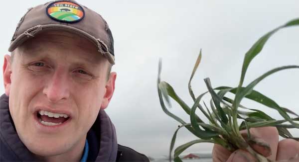 Mid Winter Trit Update - One Good Idea