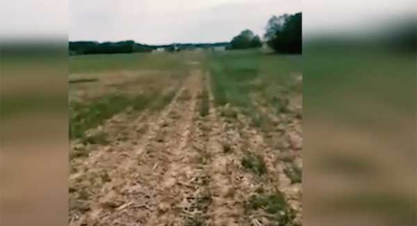 Spraying cover crops when it's too cold - One Good Idea