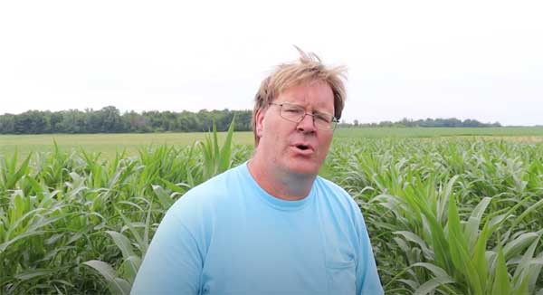 Regenerative Ag Network: 60 inch corn update and goals - One Good Idea