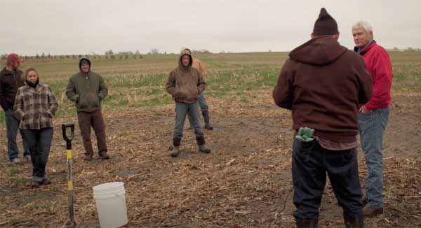 Grazing Cover Crops: Farmer-Grazier Relationships - One Good Idea