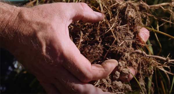 Adaptive Grazing 101: What Can You Learn From Digging a Hole in Your ...
