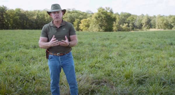 Adaptive Grazing 101: Why is a Diverse Pasture a Good Investment? - One ...