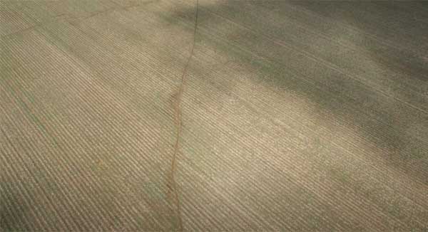 Buckeye Farm: Cross Furrows - One Good Idea