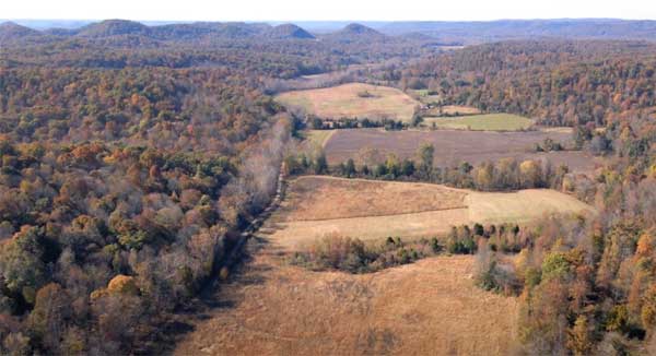 Riparian Buffers in Forested Landscapes - Better Buffers for Cleaner ...