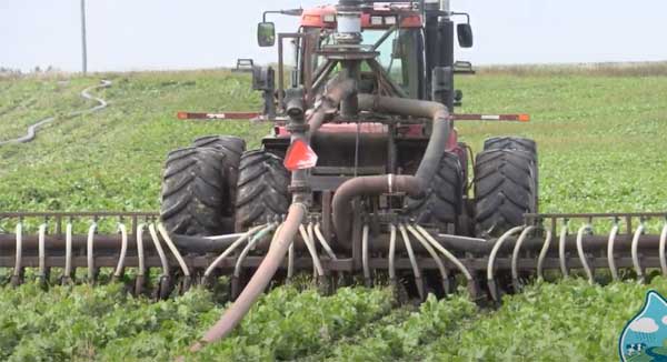 A-OK Farms improves soil health through conservation practices - One ...