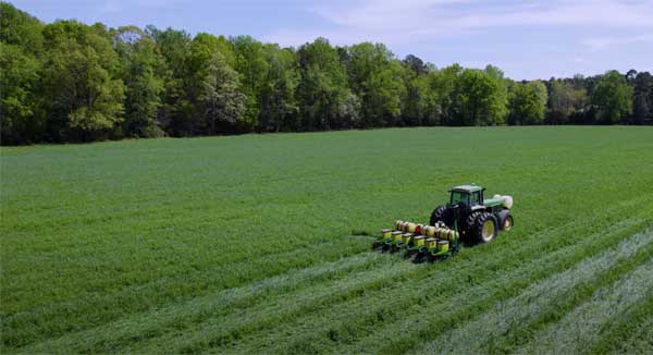 Cover Crops for Growing Nutrients & Cutting Costs - One Good Idea