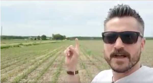 Early application interseeding - One Good Idea