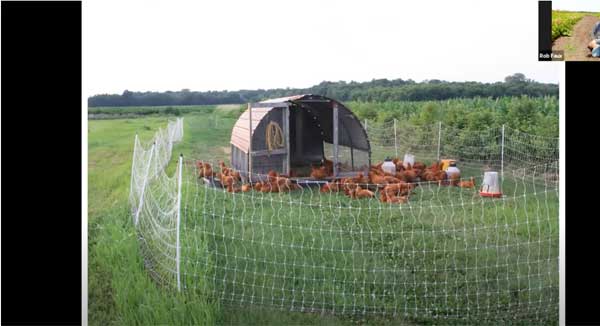 Integrating Cover Crops on a Vegetable and Poultry Farm – Covers for ...
