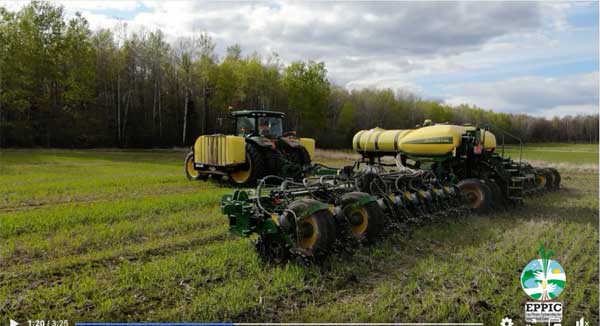 Planting Green: A Corn Silage Story - One Good Idea