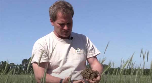 Planting Green, an Option for Managing Weeds, Organic Matter, Soil ...