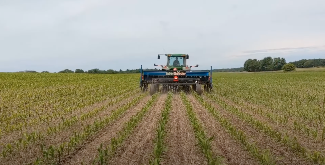 What Is Interseeding and How Does It Work? - One Good Idea